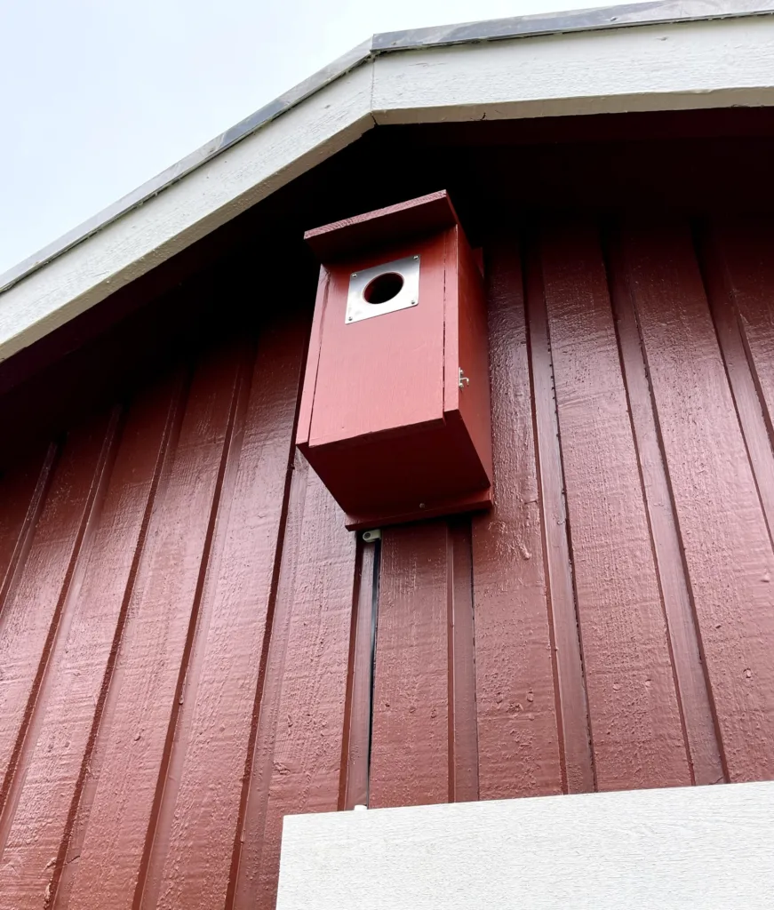 The Birdhouse 2024! - Niclas Bjuväng